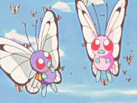 Butterfree GIFs - Get the best gif on GIFER