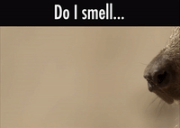 Feeling GIFs - Get the best gif on GIFER