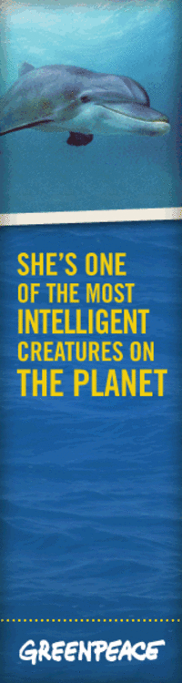 Roche GIFs - Get the best gif on GIFER