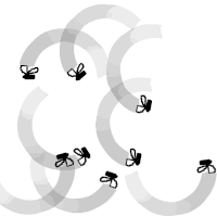 It flies GIFs - Get the best gif on GIFER