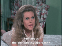 Bewitched GIFs - Get the best gif on GIFER