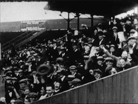 Spitfire GIFs - Get the best gif on GIFER