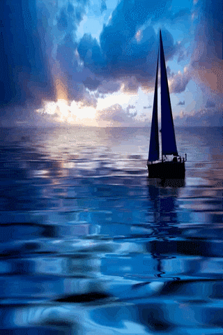 Schiff GIFs - Get the best gif on GIFER
