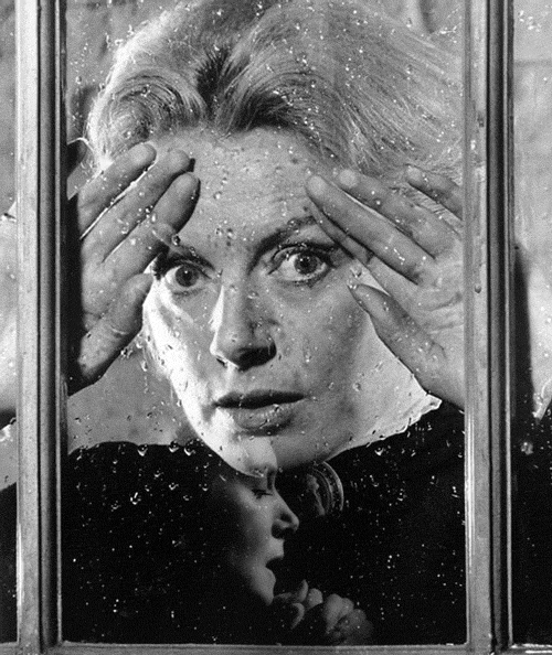 Chibimaru chan GIF - Conseguir o melhor gif em GIFER