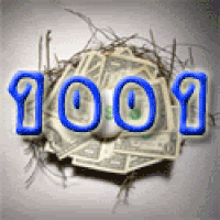 1001 GIFs - Get the best gif on GIFER