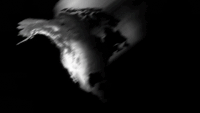 Tectonics GIFs - Get the best gif on GIFER