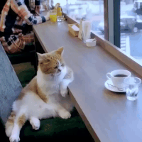 Chillin GIFs - Get the best gif on GIFER