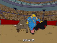 Bullfight GIFs - Get the best gif on GIFER