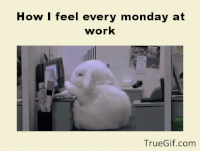 Monday GIFs - Get the best gif on GIFER