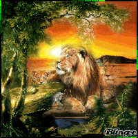 Rasta GIFs - Get the best gif on GIFER