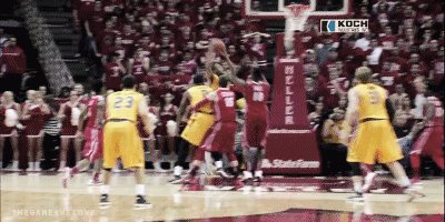 Redbird GIFs - Get the best gif on GIFER