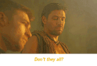 Grillo GIFs - Get the best gif on GIFER