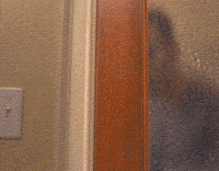 Potty GIFs - Get the best gif on GIFER