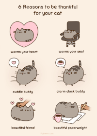 Pusheen GIFs - Get the best gif on GIFER