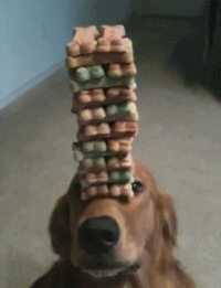 Jenga GIFs - Get the best gif on GIFER