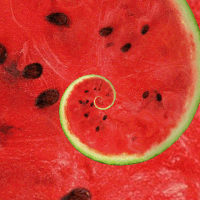 Watermelon GIFs - Get the best gif on GIFER