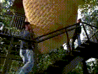 Mattress GIFs - Get the best gif on GIFER