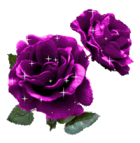 Roses GIFs - Get the best gif on GIFER