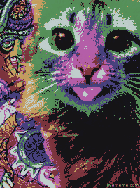 Uau GIFs - Get the best gif on GIFER