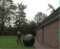 Precision GIFs - Get the best gif on GIFER