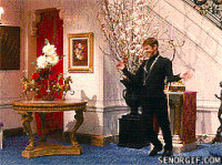 Skip GIFs - Get the best gif on GIFER