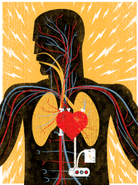 Anatomy GIFs - Get the best gif on GIFER