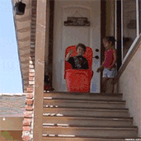 Fun GIFs - Get the best gif on GIFER