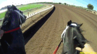Horse Racing Gif