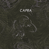 Complete GIFs - Get the best gif on GIFER