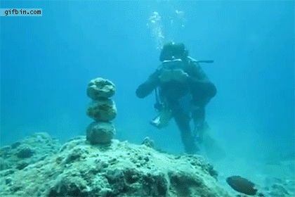 Plonger GIFs - Get the best gif on GIFER