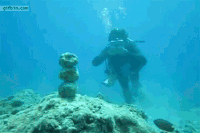 Scuba diving GIFs - Get the best gif on GIFER