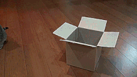 Caja GIF - Conseguir el mejor gif en GIFER
