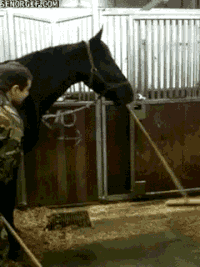 Sweep GIFs - Get the best gif on GIFER