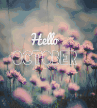 Observance GIFs - Get the best gif on GIFER