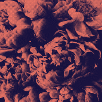 Contemporary GIFs - Get the best gif on GIFER