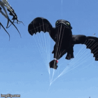 Kite GIFs - Get the best gif on GIFER