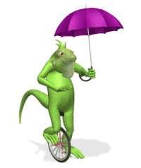 Iguana GIFs - Get the best gif on GIFER