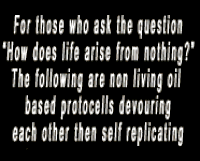 Protocells гифки, анимированные GIF изображения protocells - скачать ...