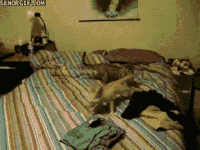 502 gateway GIFs - Get the best gif on GIFER