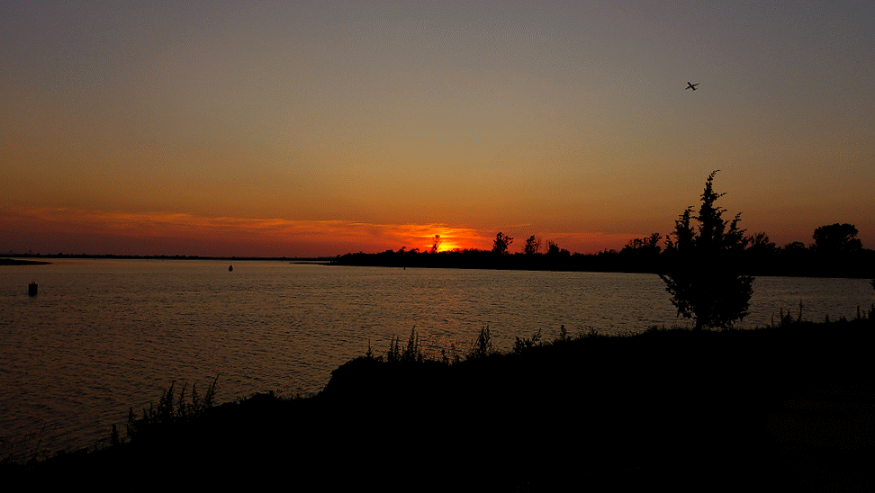 Inconvenience GIFs - Get the best gif on GIFER