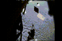 Module GIFs - Get the best gif on GIFER