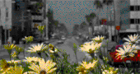 Adaptations GIFs - Get the best gif on GIFER