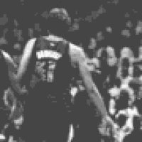 Trade GIFs - Get the best gif on GIFER