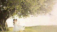 Wedding GIFs - Get the best gif on GIFER