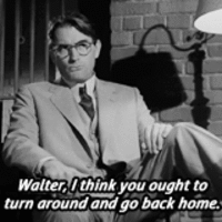 Mockingbird GIFs - Get the best gif on GIFER