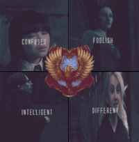 Ravenclaw GIFs - Get the best gif on GIFER