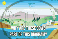 Carbon cycle GIF - Conseguir o melhor gif em GIFER