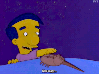 Milhouse GIFs - Get the best gif on GIFER