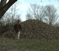 Geronimo GIFs - Get the best gif on GIFER