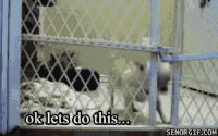 Alcatraz GIFs - Get the best gif on GIFER
